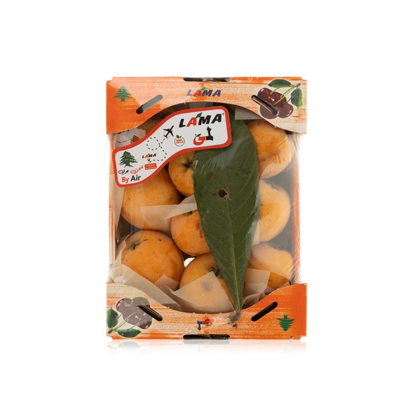 Loquats Lebanon price in UAE | Spinneys UAE | supermarket kanbkam