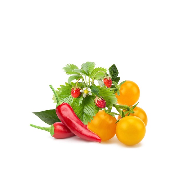 Click & Grow Smart Garden Plant Pods Fruit And Veggie Mix x 9 ...