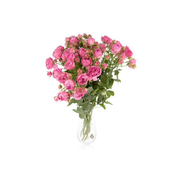 Spray rose misty bubble - Spinneys UAE