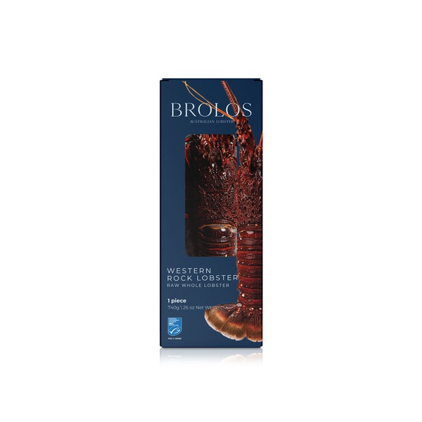 Brolos Frozen Raw Whole Lobster 740g - Spinneys UAE