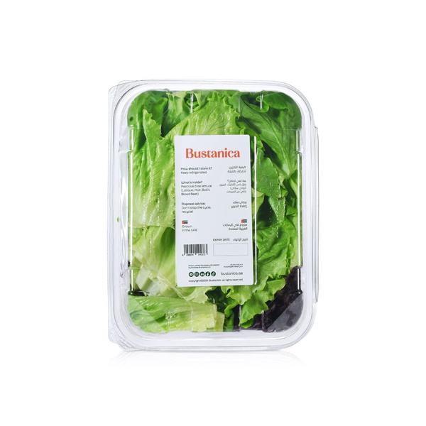 Bustanica Everyday Mix 120g - Spinneys UAE