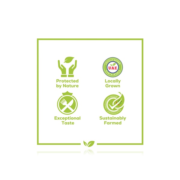 Pure Harvest Family Tomato Box 1kg - Spinneys UAE