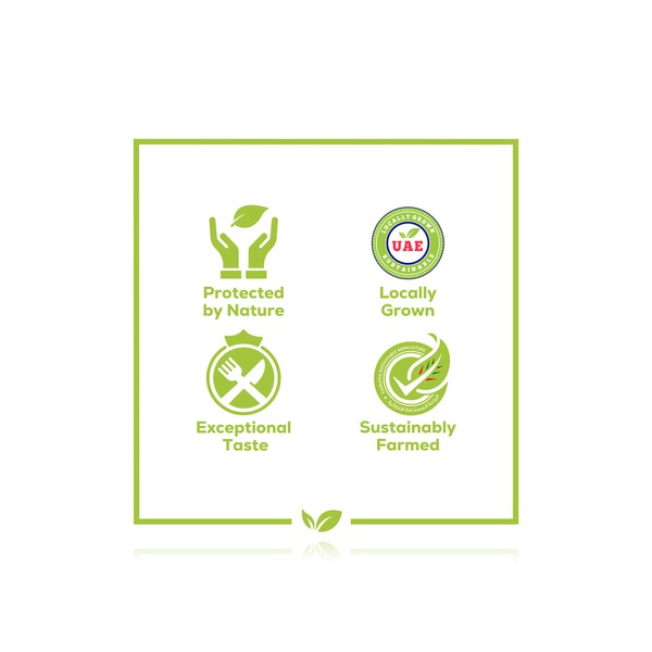 Pure Harvest Eve Cherry Tomatoes Uae 250g - Spinneys UAE