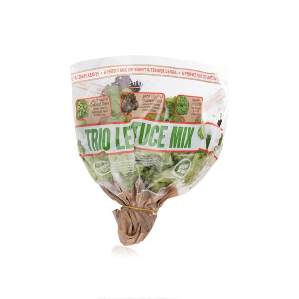 Lollo Biondi Oakleaf Lettuce Red/Green UAE 200g - Spinneys UAE