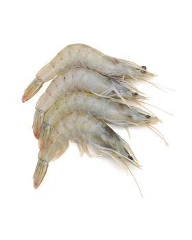 Jumbo Prawns U5-7 (cleaned) India - Spinneys UAE