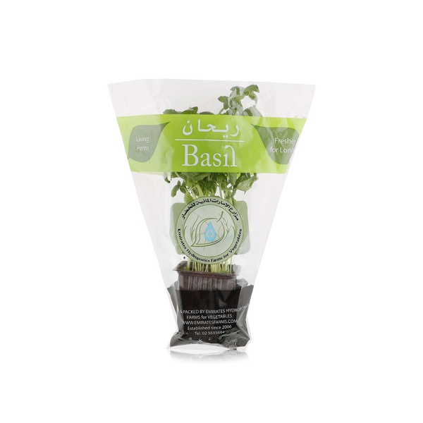 Basil Plant UAE - Spinneys UAE