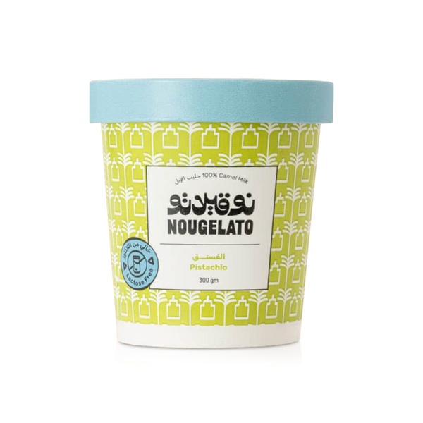 Nougelato Pistachio Gelato 300g - Spinneys Saudi Arabia