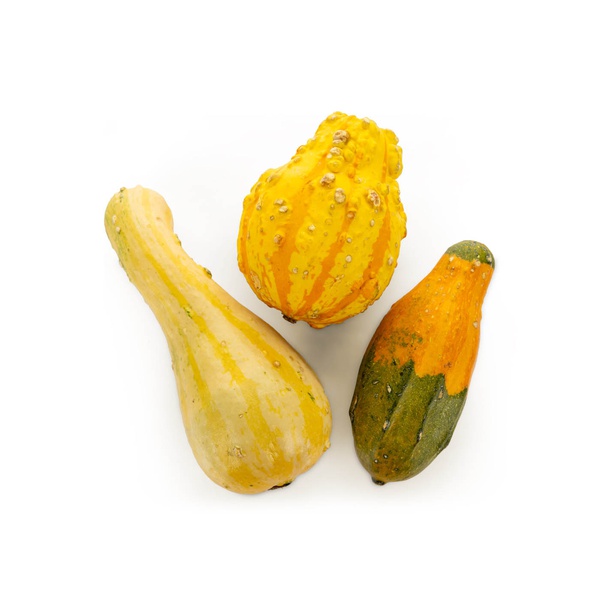 Spinneys Ornamental Gourds USA EA
