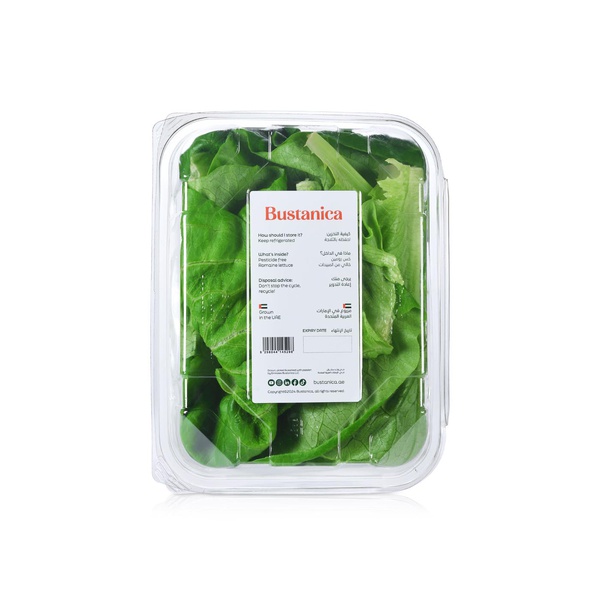 Bustanica Crunchy Romaine 100g - Spinneys UAE