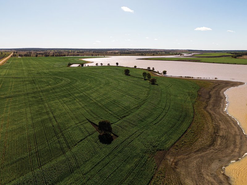 Meet the producers: Stanbroke - Spinneys UAE