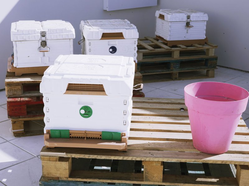 The state of beeing - Spinneys UAE