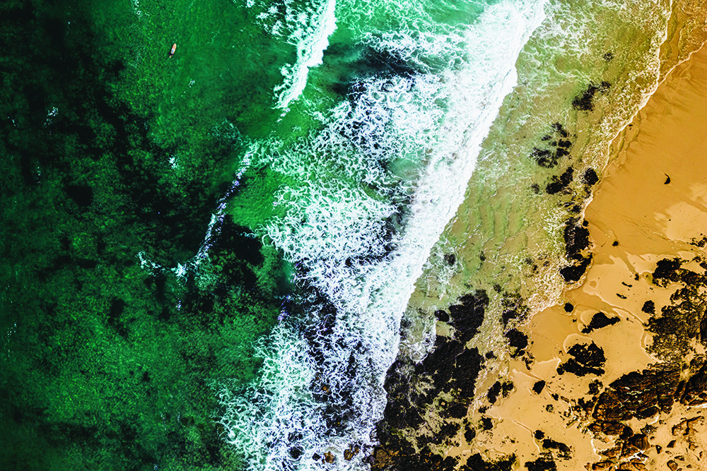 Spirit of the sea - Spinneys UAE