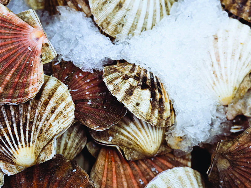 Spirit of the sea - Spinneys UAE