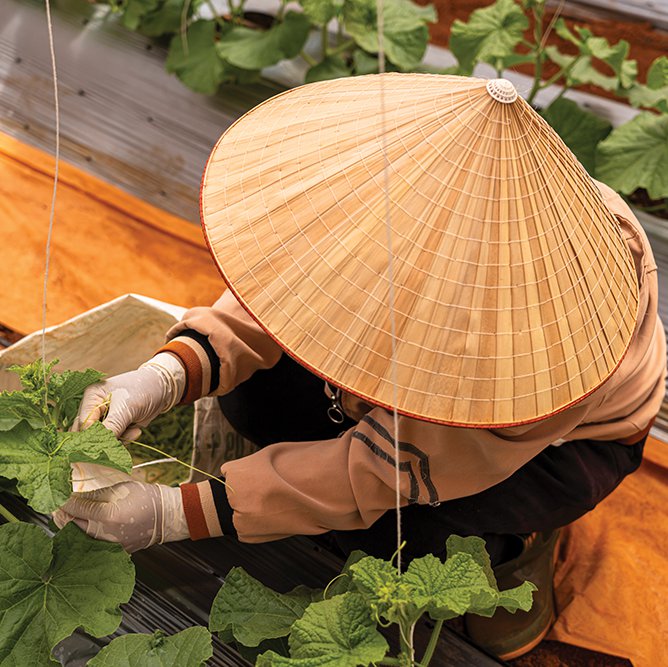 Recipes from Spinneys UAE