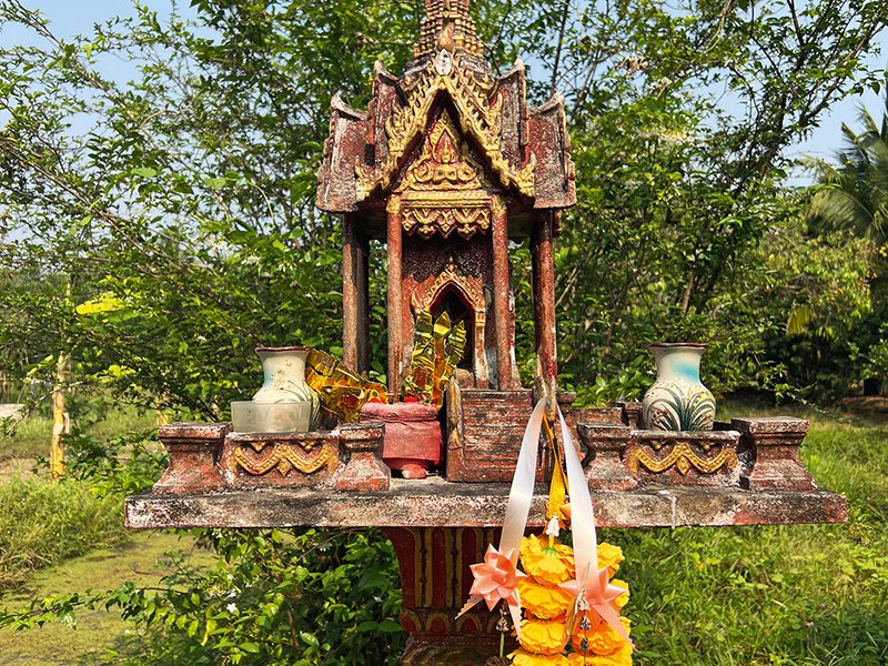 The sweetest trees in Thailand - Spinneys UAE