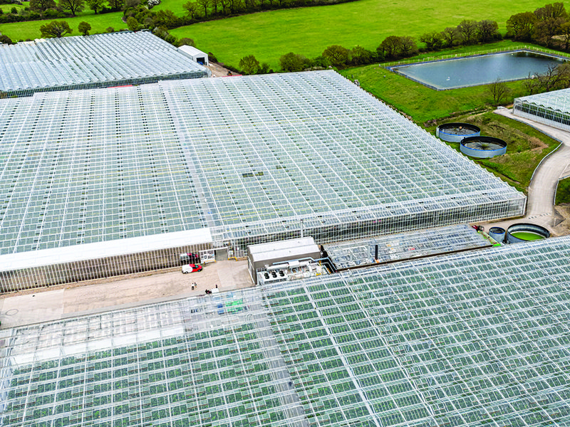 Crunch time - Spinneys UAE