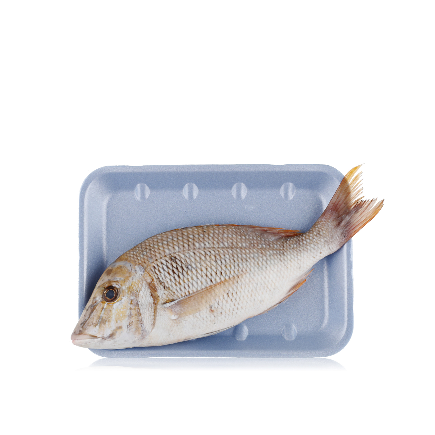 Big Sheri Oman - Spinneys UAE