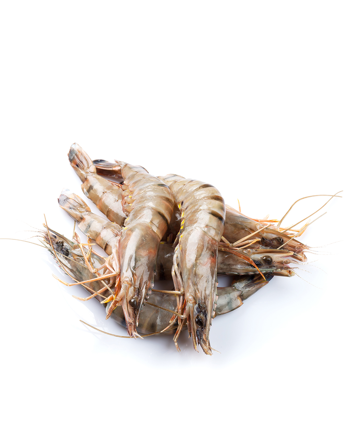 Jumbo Prawns U5-7 (cleaned) India - Spinneys UAE
