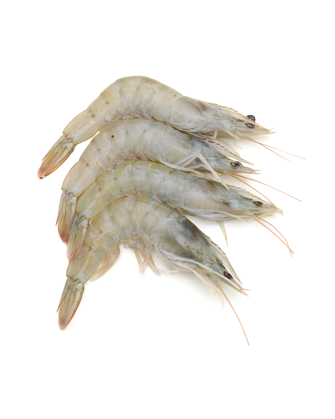 Spinneysfood Small Fresh White Indian Prawns - Spinneys UAE
