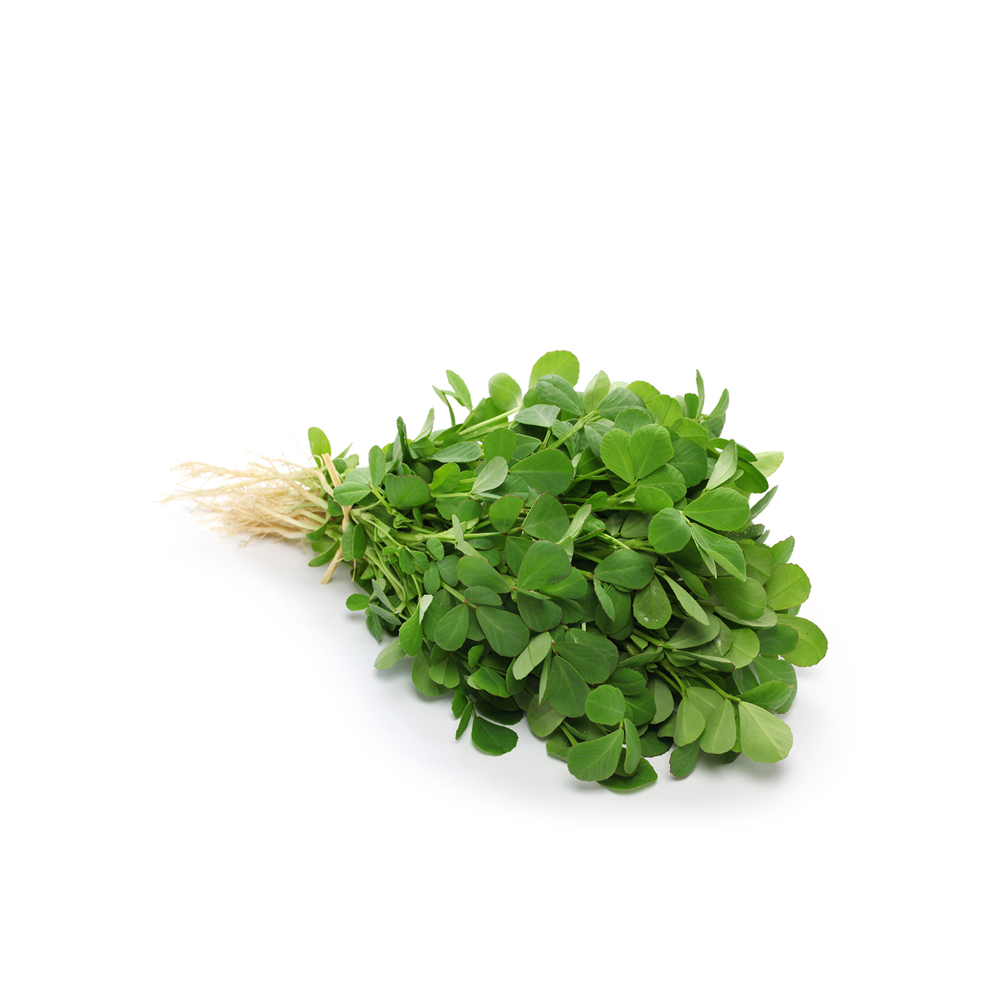 Fenugreek (Methi) Bunch Oman - Spinneys UAE
