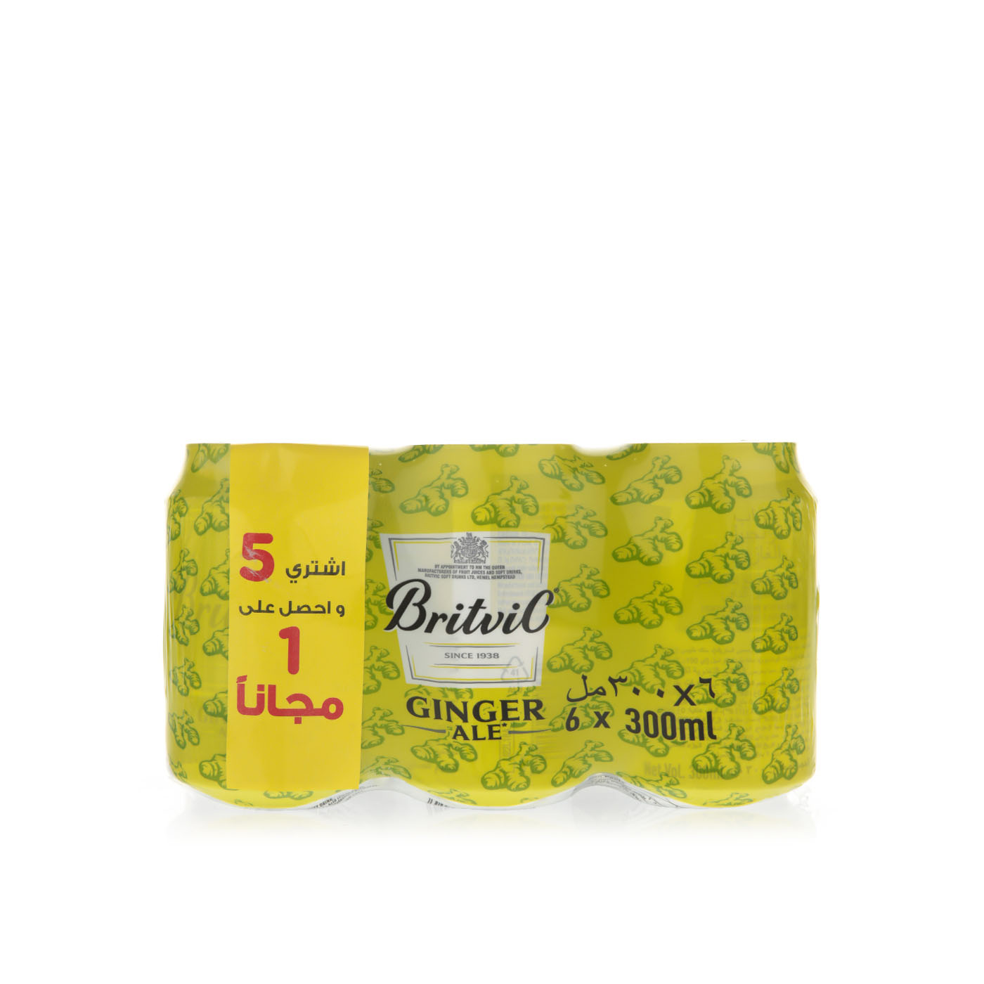 Britvic Spicy Ginger Ale 300ml x 6 - Spinneys UAE