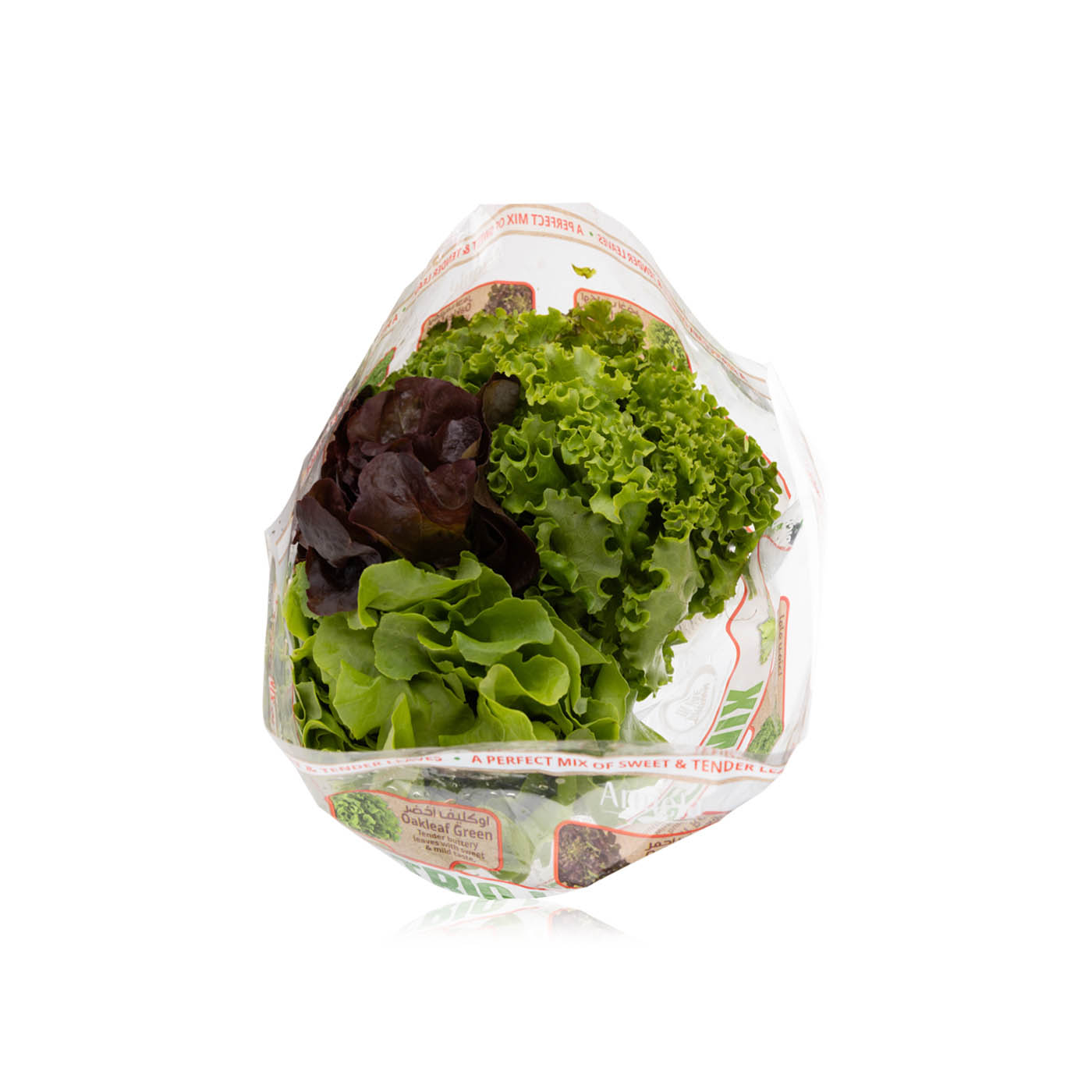 Lollo Biondi Oakleaf Lettuce Red/Green UAE 200g - Spinneys UAE