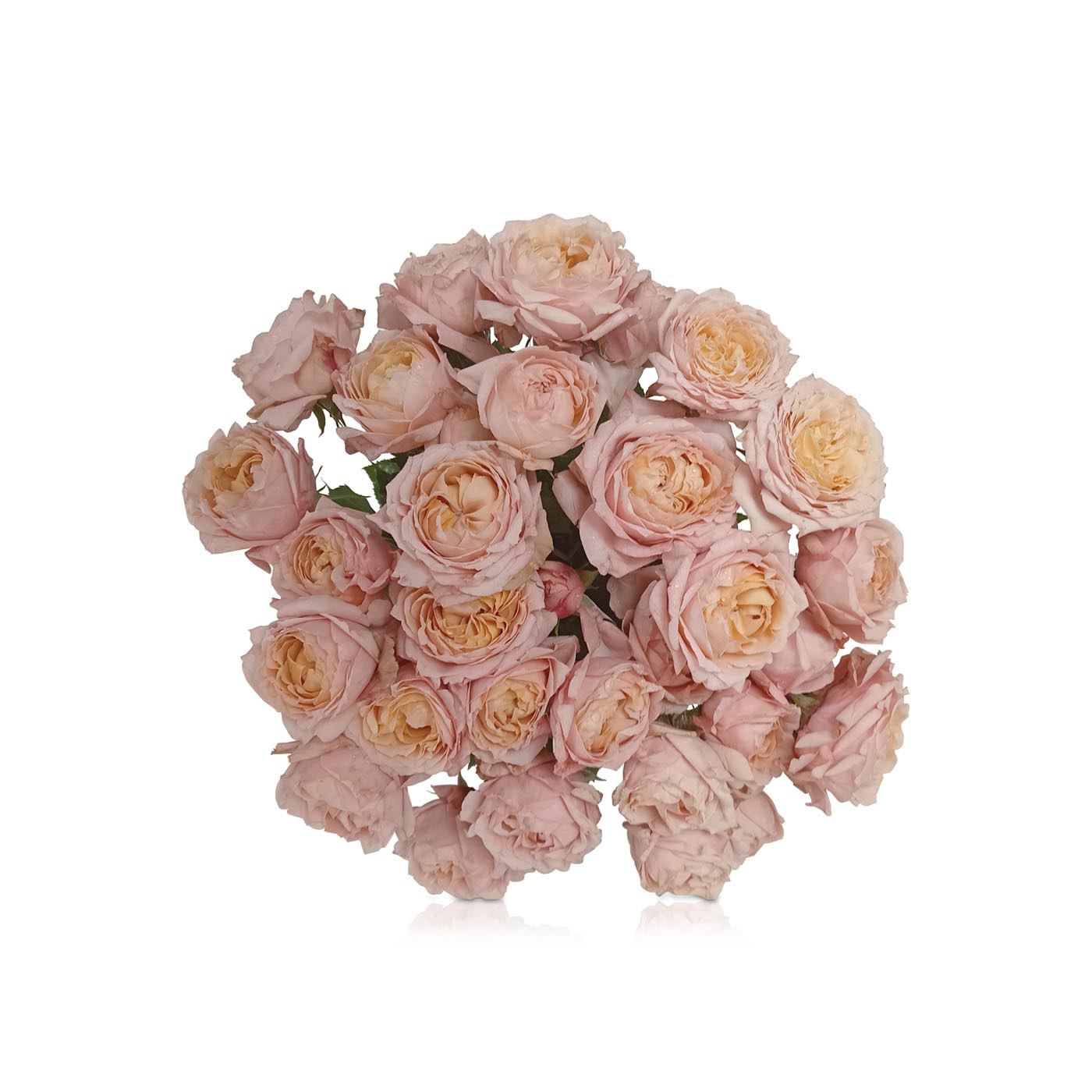 Spray Roses Bouquet - Spinneys UAE