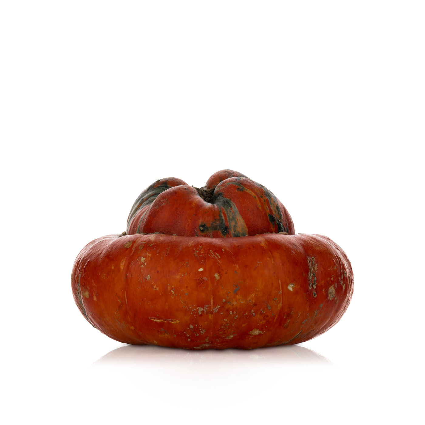 Mini Squash - Spinneys UAE