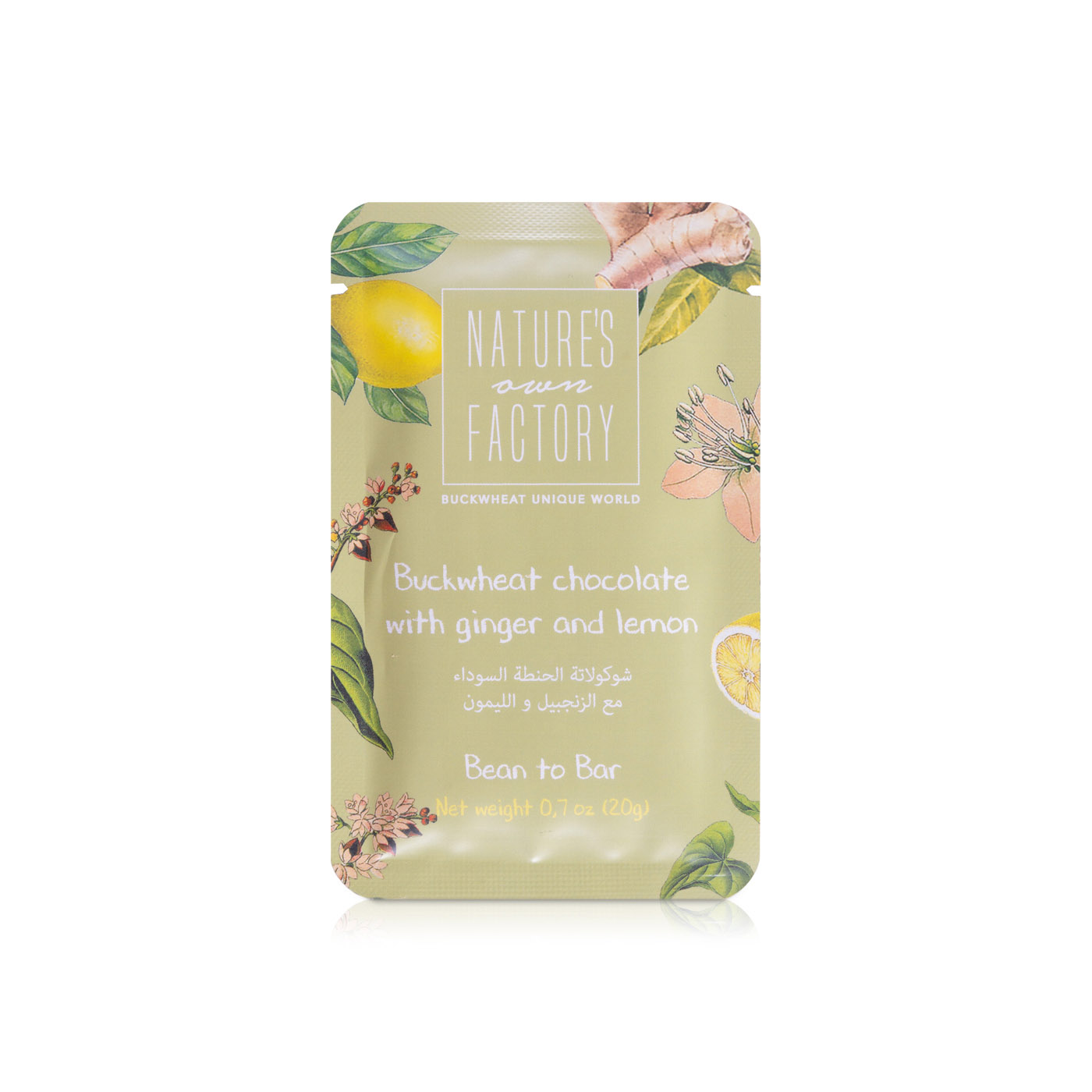 Nature's Own Factory Buckwheat Chocolate with Ginger and Lemon 20g ...
