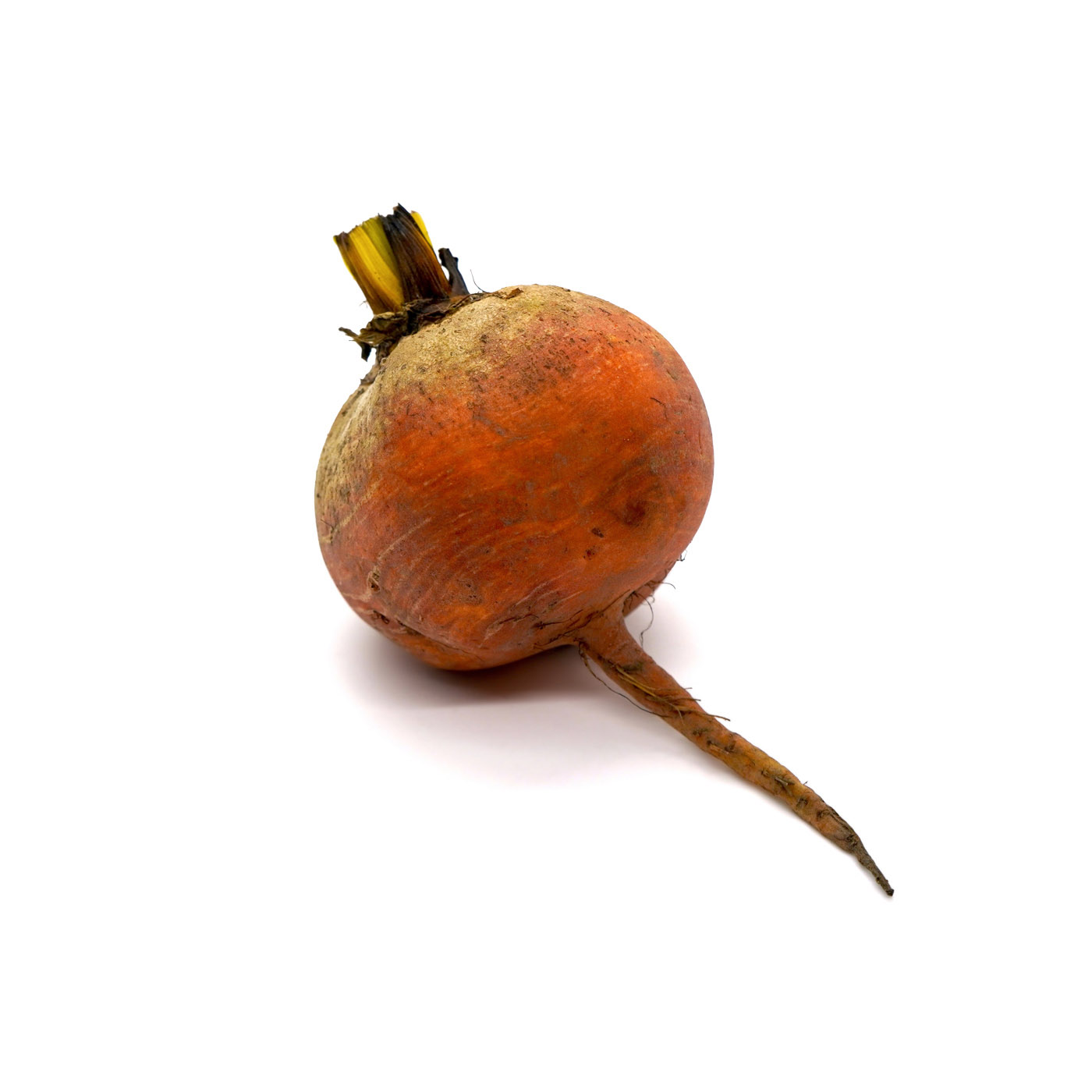 French Golden Beetroot - Spinneys United Arab Emirates