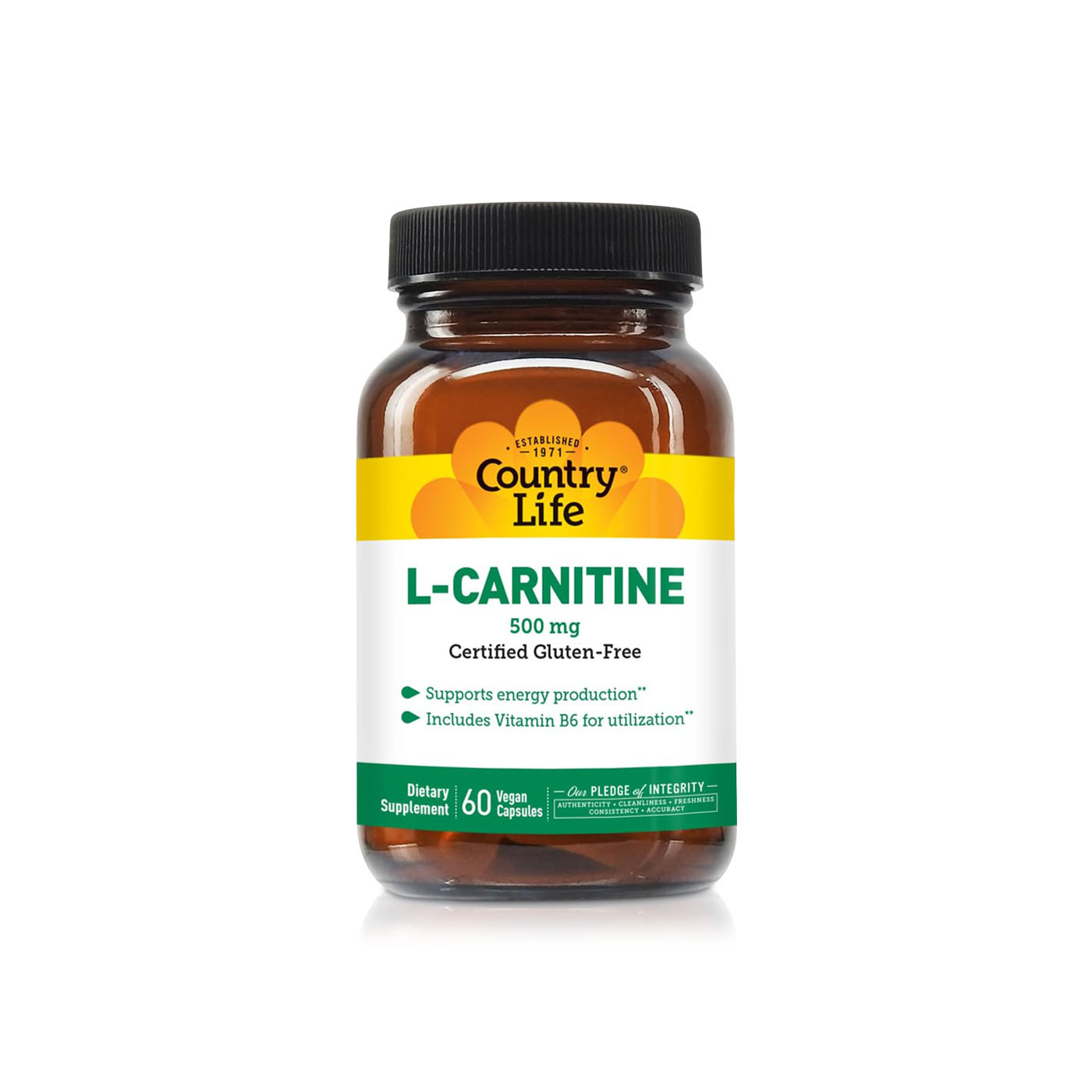 Carson Life L Carnitine
