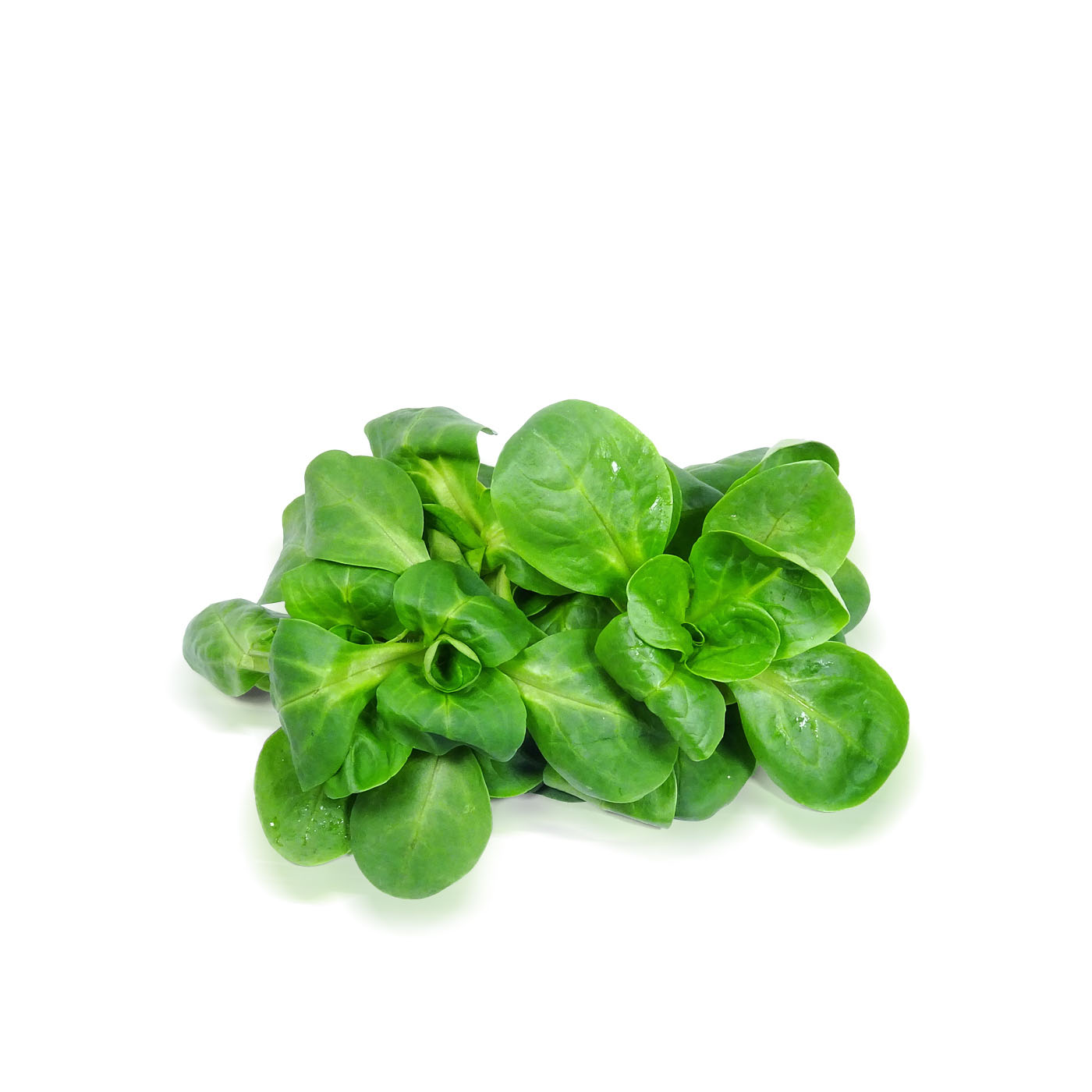 French Lamb Lettuce Leaves - Spinneys United Arab Emirates