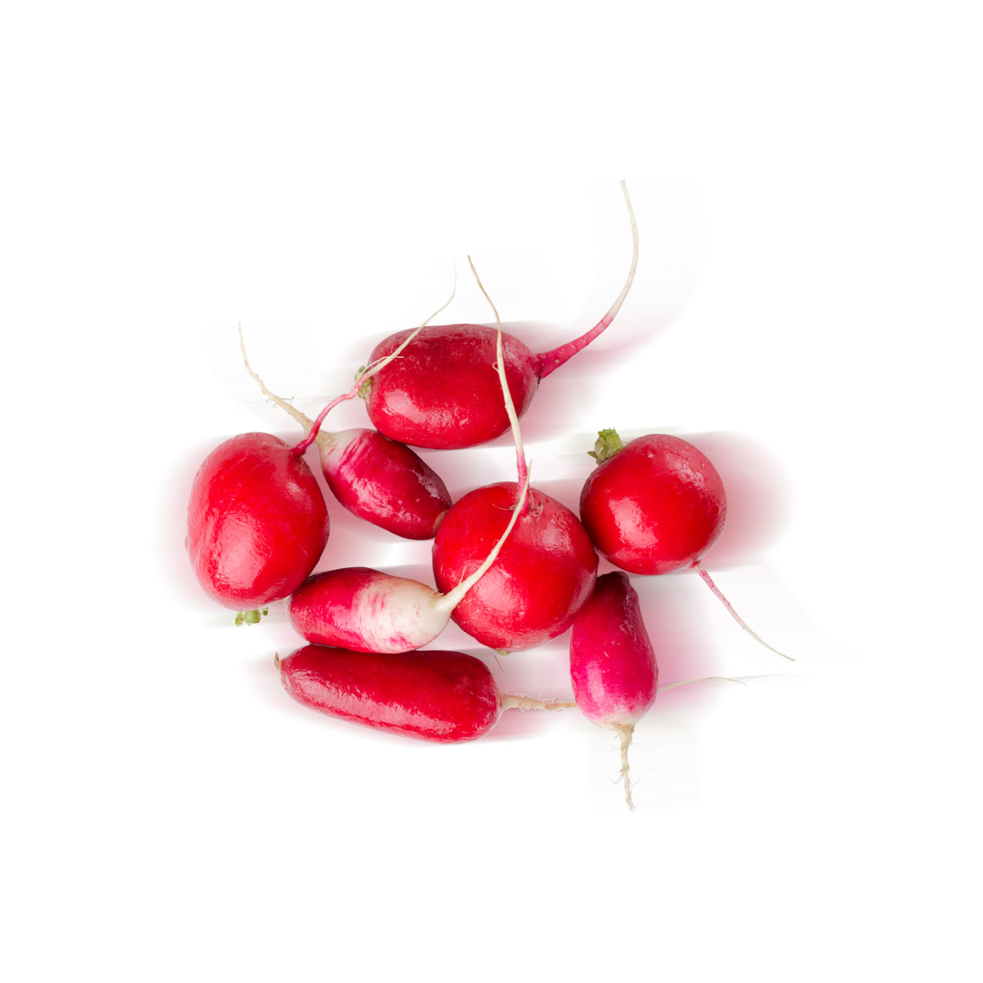 French Organic Rose Radish Bunch - Spinneys UAE