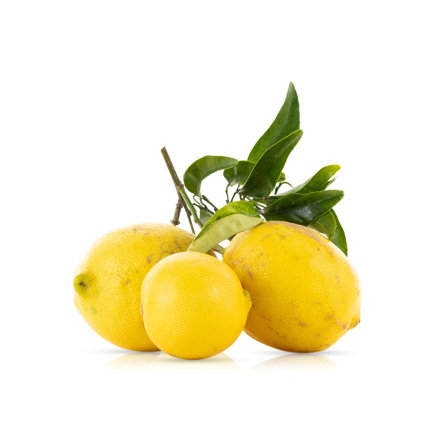 Lemon with Leaves Spain - Spinneys United Arab Emirates