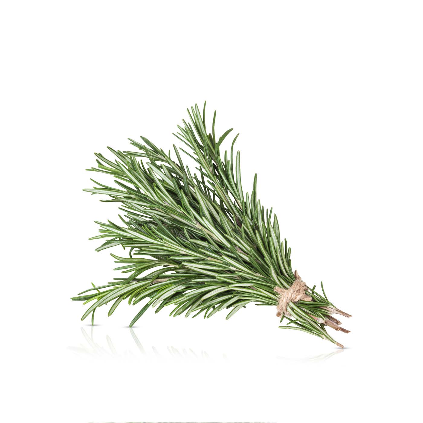 Spinneys French Organic Rosemary Bunch - Spinneys الإمارات العربية المتحدة