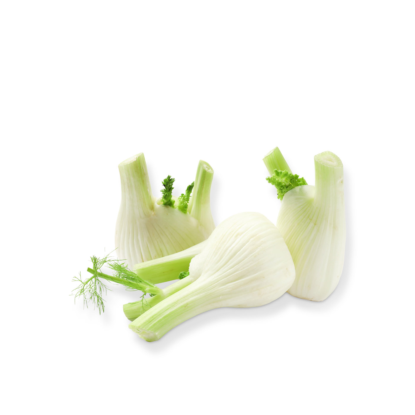 Baby Fennel 200g - Spinneys United Arab Emirates