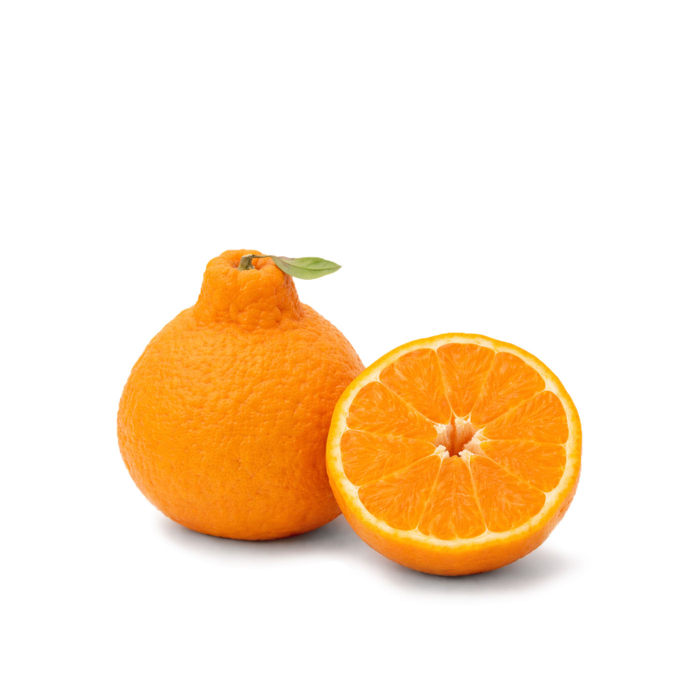 Japanese Dekopon Sumo Citrus x1 - Spinneys United Arab Emirates