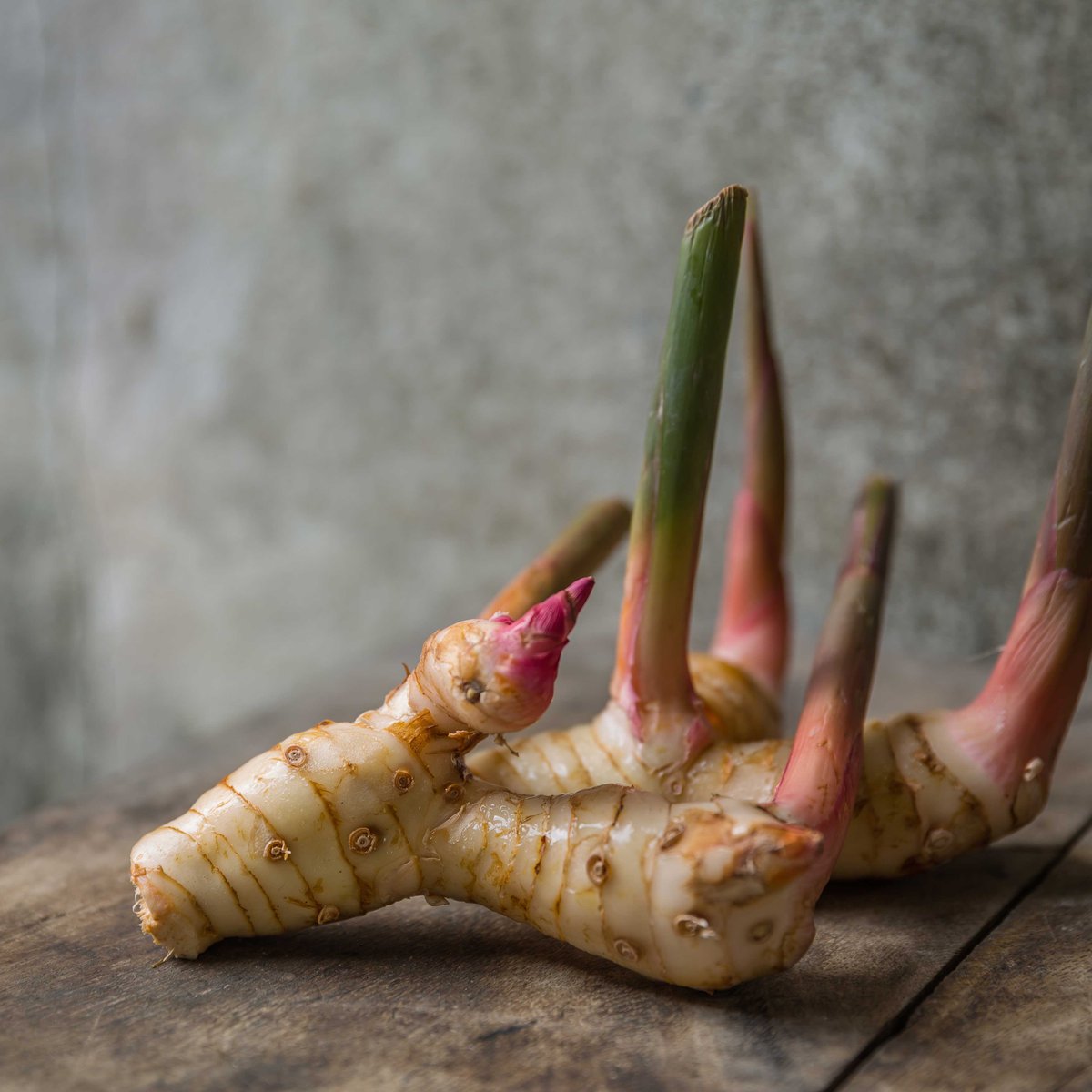 A guide to the weirdest ingredients on the planet